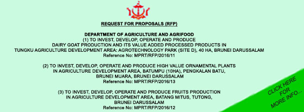 AllItems - All Assets