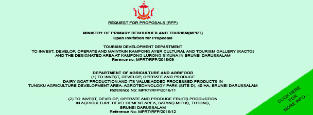 AllItems - All Assets